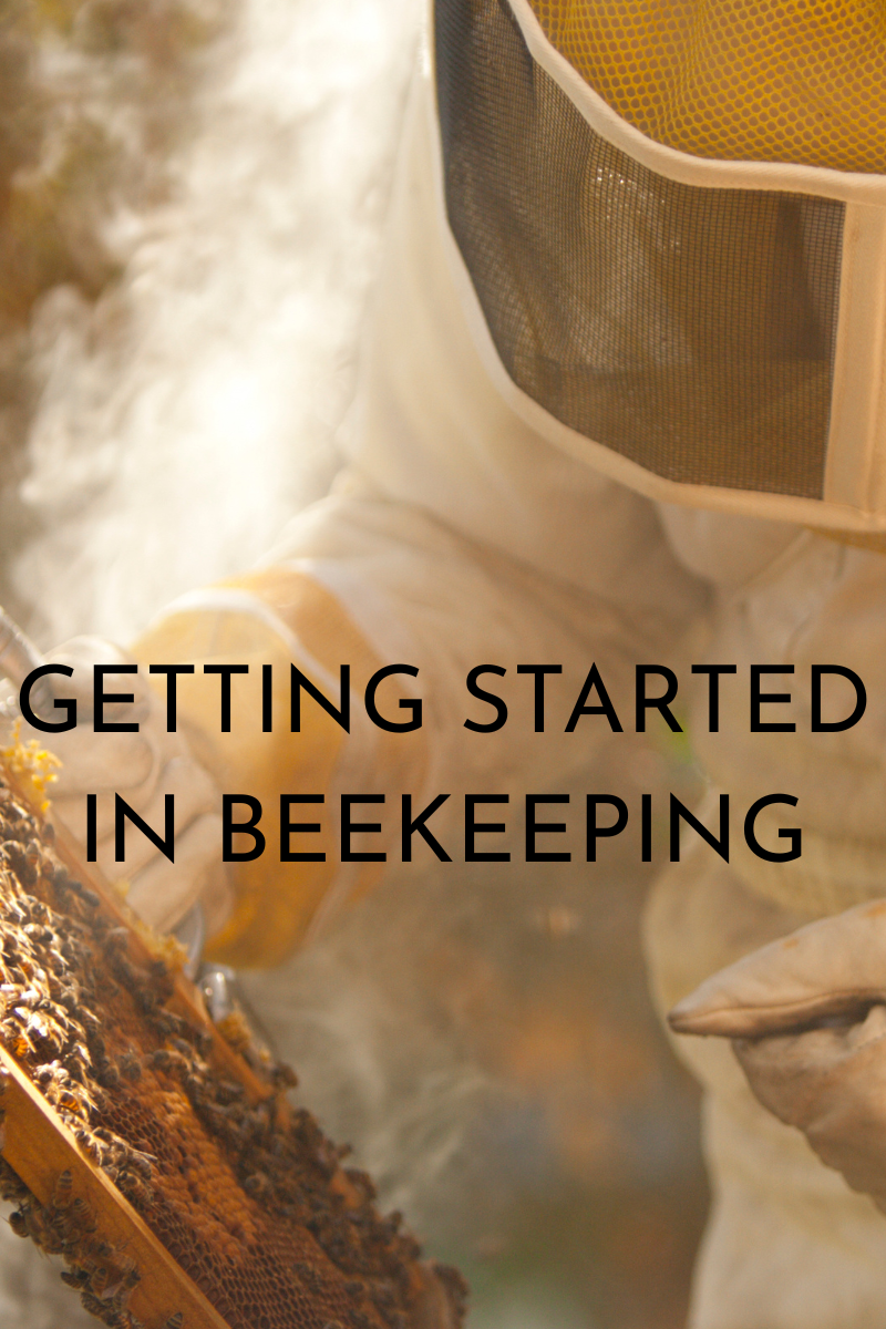 Getting Started in Beekeeping: A Rewarding Journey for All Generations ...